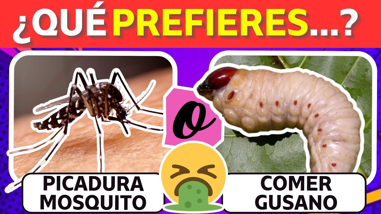 🧠 50 Preguntas EXTREMAS de "¿Qué Prefieres?" | ¡Solo los Más Valientes ...