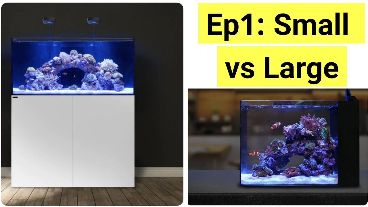 Reef Tank Basics Episode 1: Pros & Cons of Big and Small Tanks - YouTube