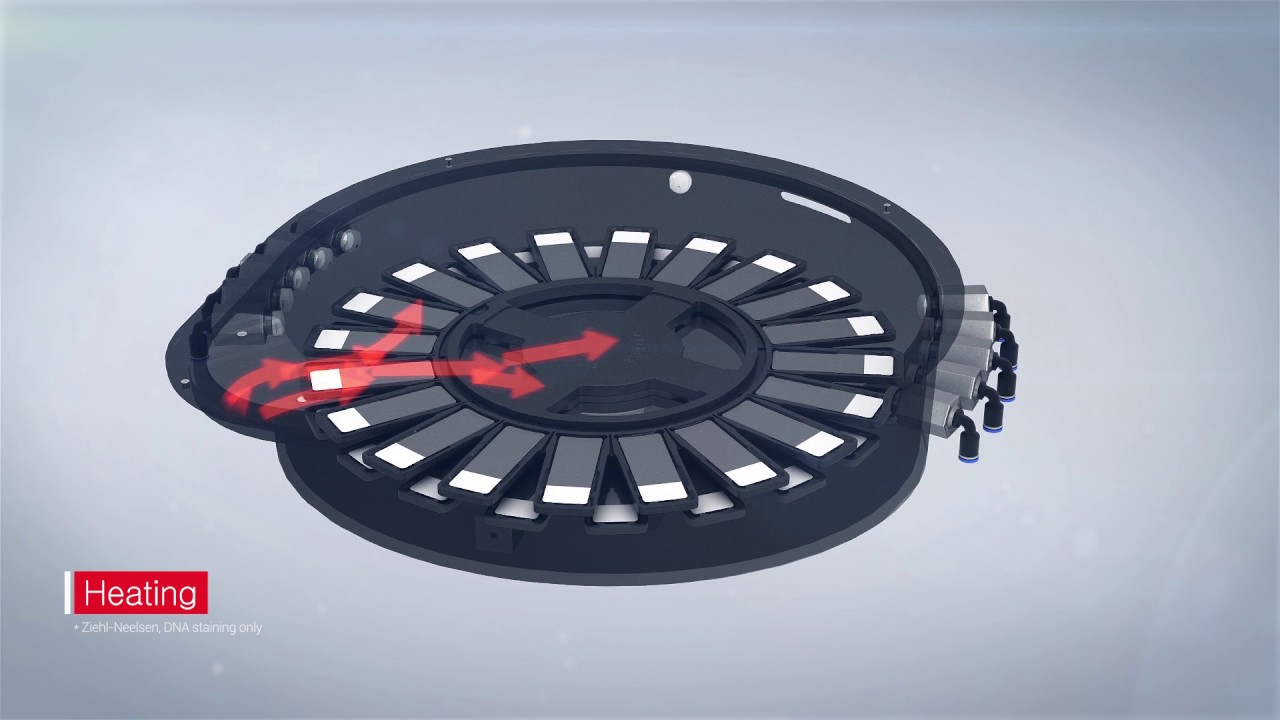 Smart Auto Stainer_170508 - YouTube