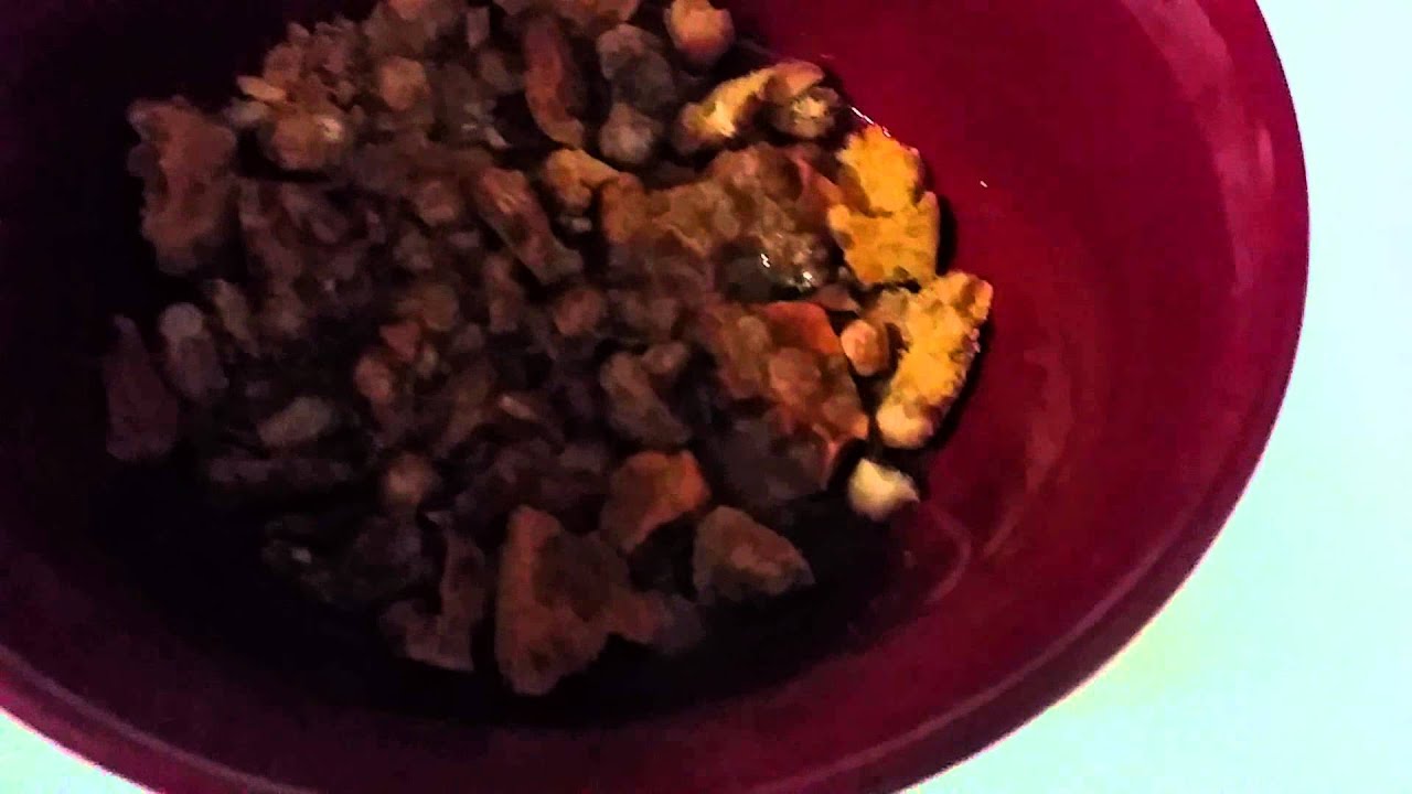 Rehydrated Freeze Dried Chili - YouTube