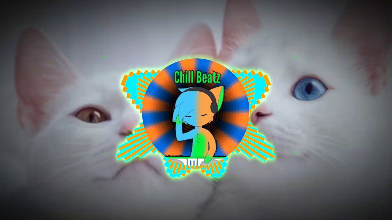Ashworth - Cat Remix (Meow Meme Song) - YouTube