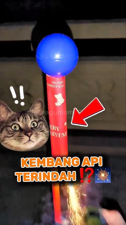Kembang Api ini adalah kembang api terindah 💥🤩#shortsid #shortvideo ...