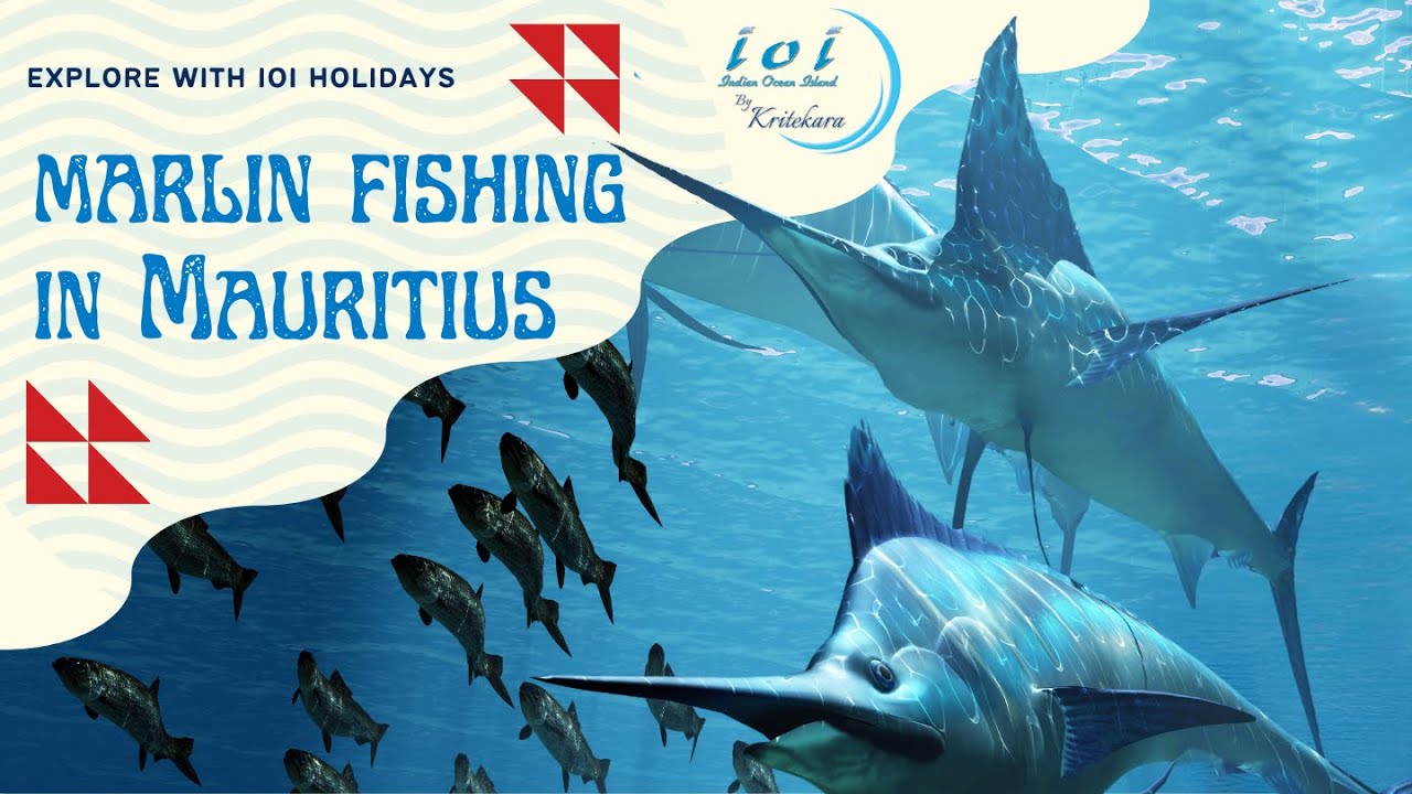 Sail with @ioiholidays for blue marlin fishing in Mauritius! 🎣🌊 # ...