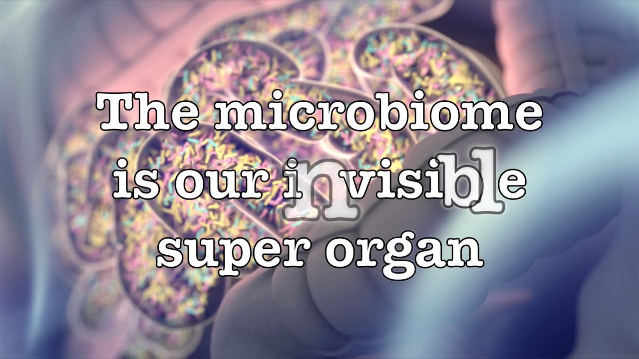 The microbiome is our invisible super organ - YouTube