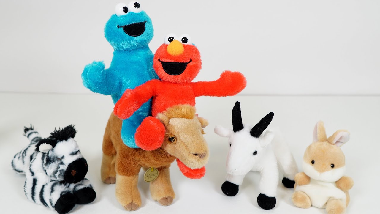 Elmo and Cookie Monster Go To The Petting Zoo in the Smoky Mountains ...