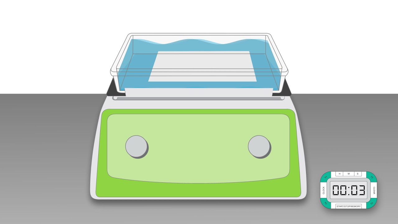 Quick Tips: Optimizing the Blocking Step in Western Blotting - YouTube