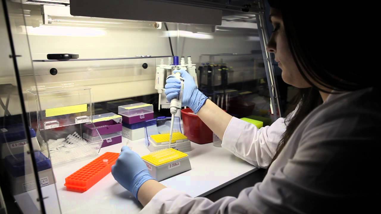 The Lyme-Aid Tick Testing Kit - YouTube