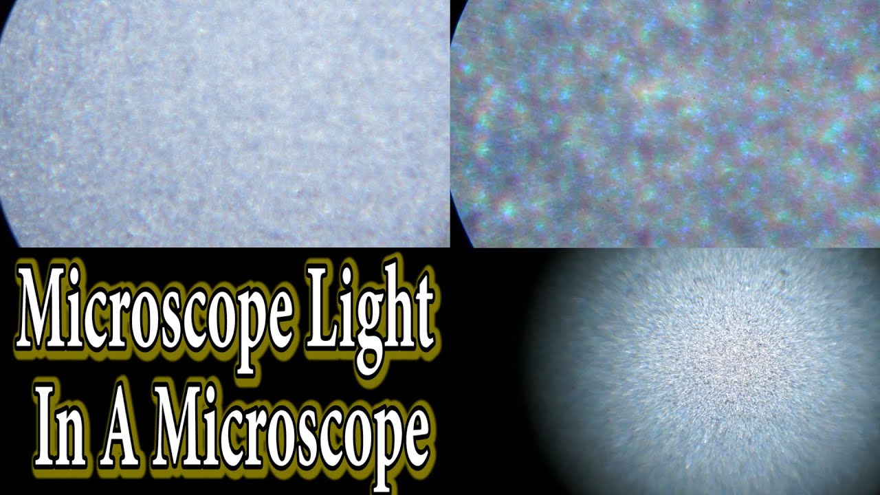 Microscope Light In A Microscope - YouTube