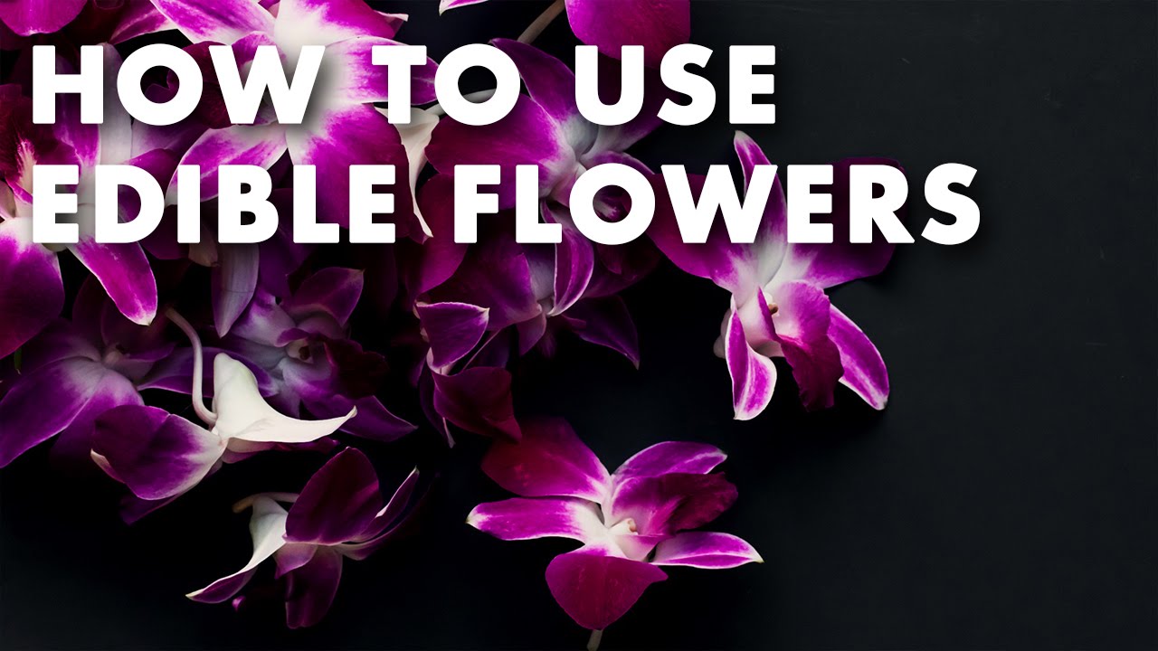 How to Use Edible Flowers - Technique Video - YouTube