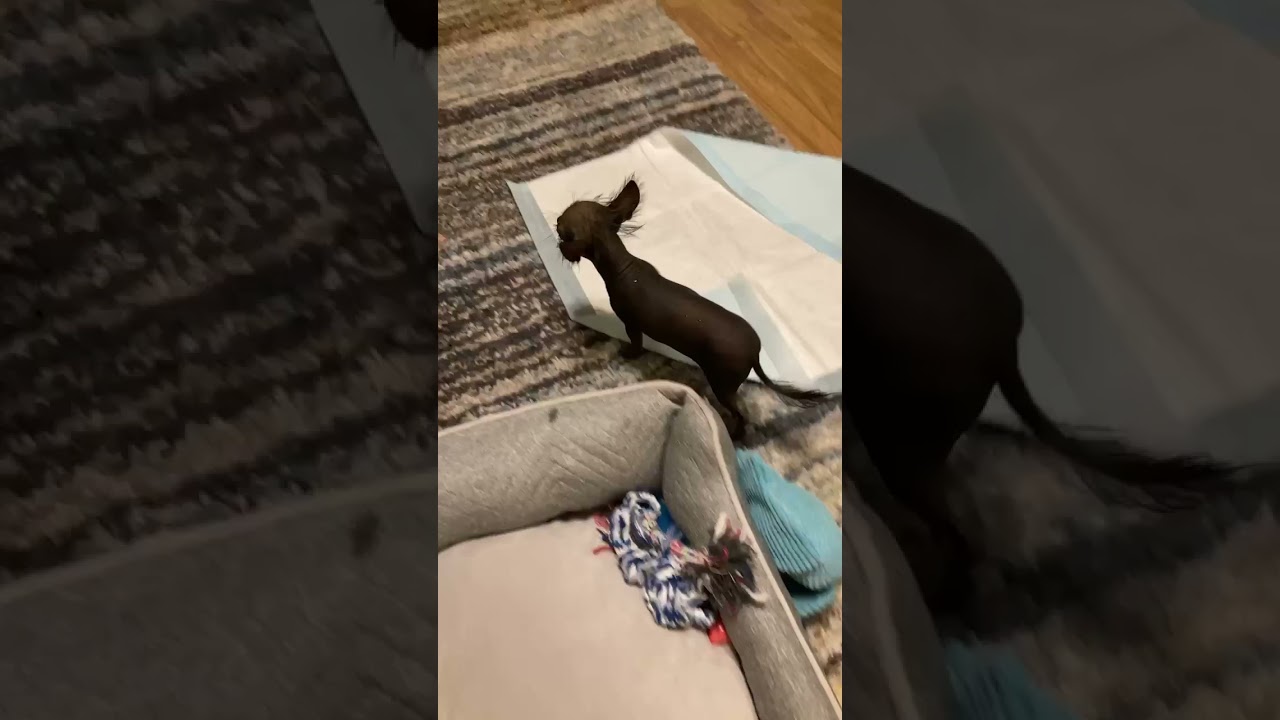 Minnie mouse sick - YouTube