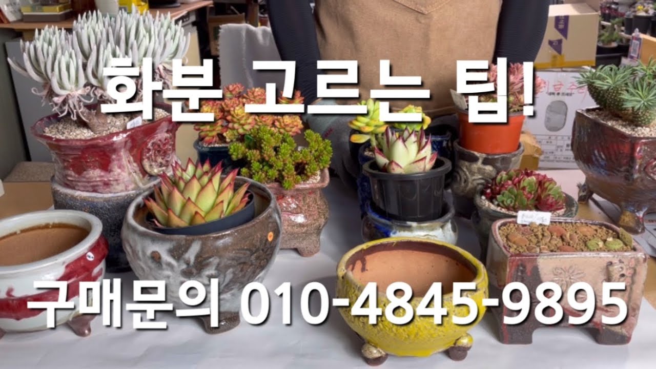 다육이랑 어울리는 화분고르기⁉️ 다육이 다육화분 다육식물 다육이화분 화분 예쁜화분 수제화분 고급화분 화분