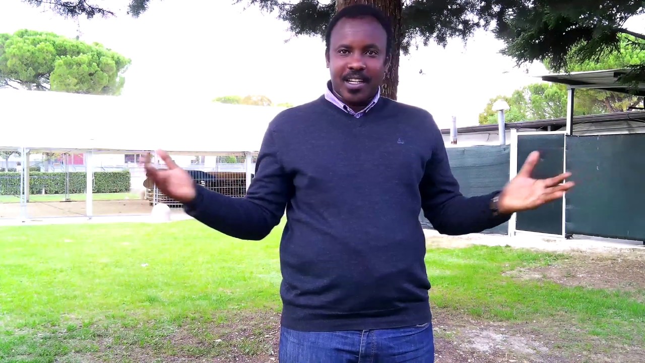 Buta: the Jewel of Africa - YouTube