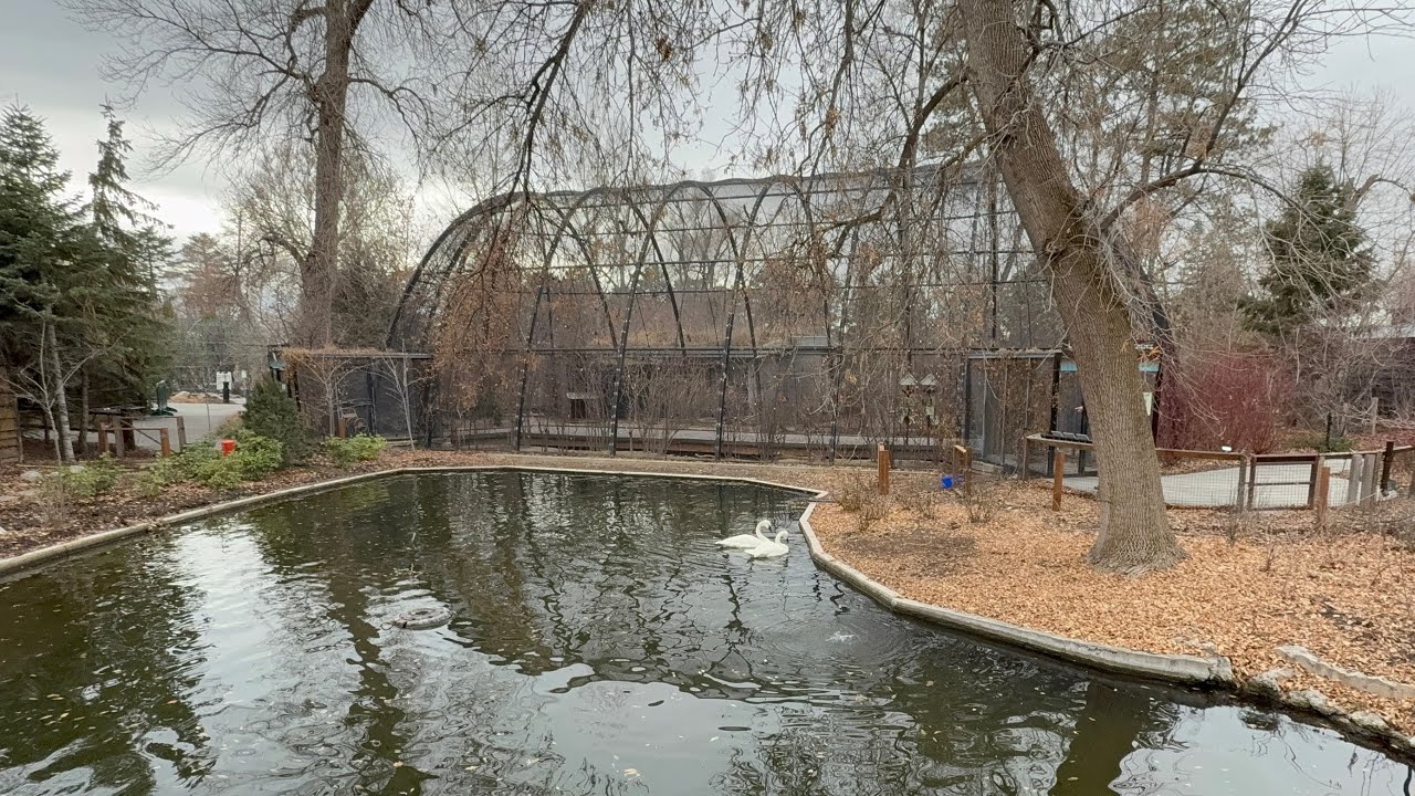 Tracy Aviary at Liberty Park - Salt Lake City - YouTube