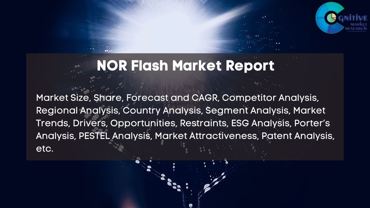 NOR Flash Market Report 2024 | Forecast, Industry Trend,share Price ...