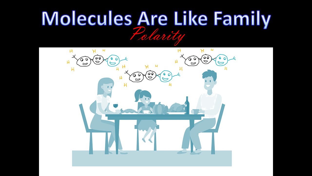 Molecules Are Like Family (Polarity) - YouTube