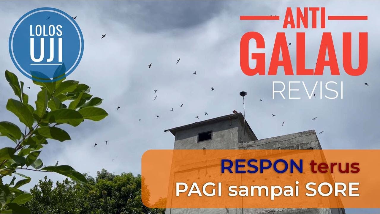 Berbagi SP Pribadi || SP ANTI GALAU revisi - YouTube