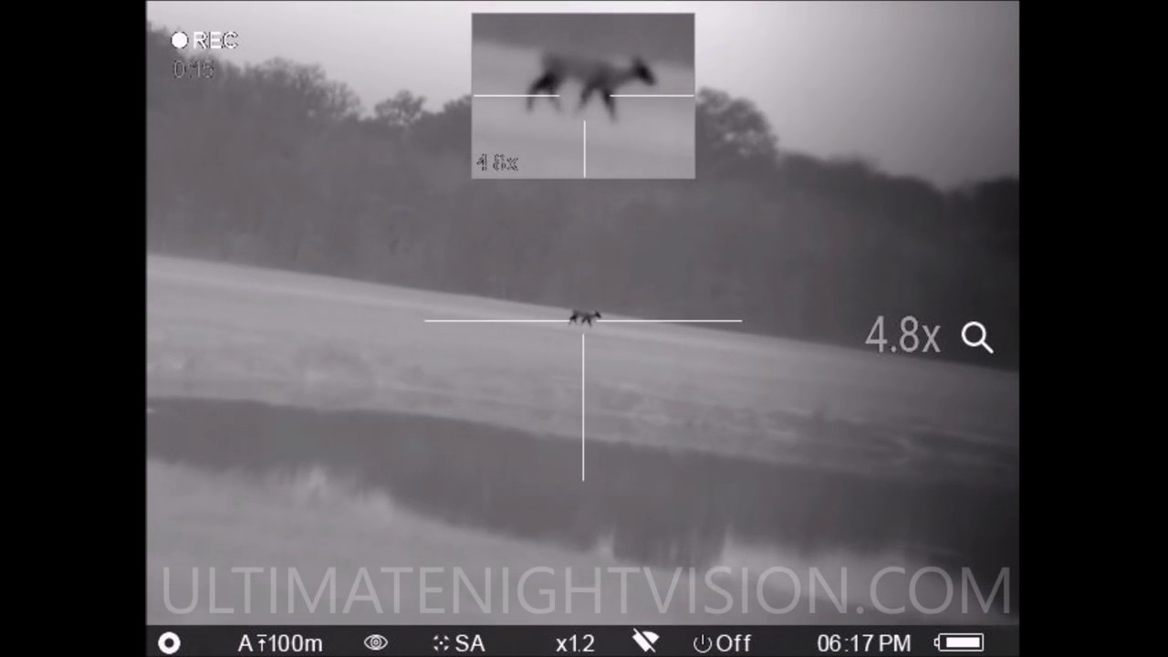 In Action: Pulsar Trail XP38 Thermal Scope - YouTube