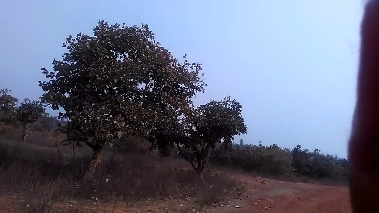 Ghinochi dham sirmour Rewa mp - YouTube