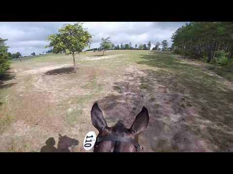 XC Helmet Cam: Reloaded (Novice | 2018 Stable View Summer Horse Trials)