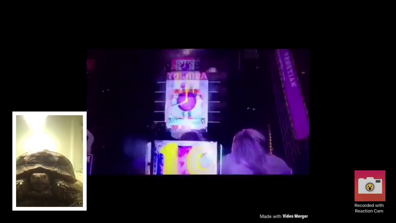 (LATE) new year ball drop reaction!! - YouTube