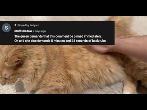 5 minutes and 24 seconds of back rubs - YouTube