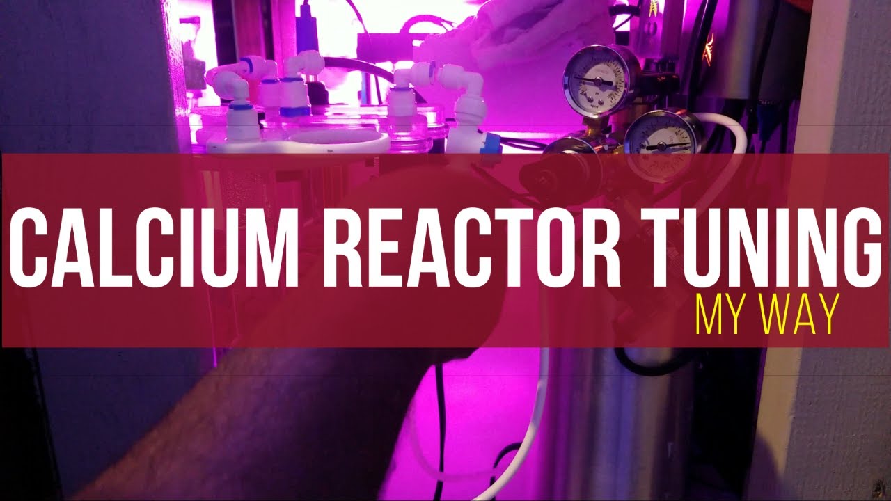 Tuning a Calcium Reactor - YouTube
