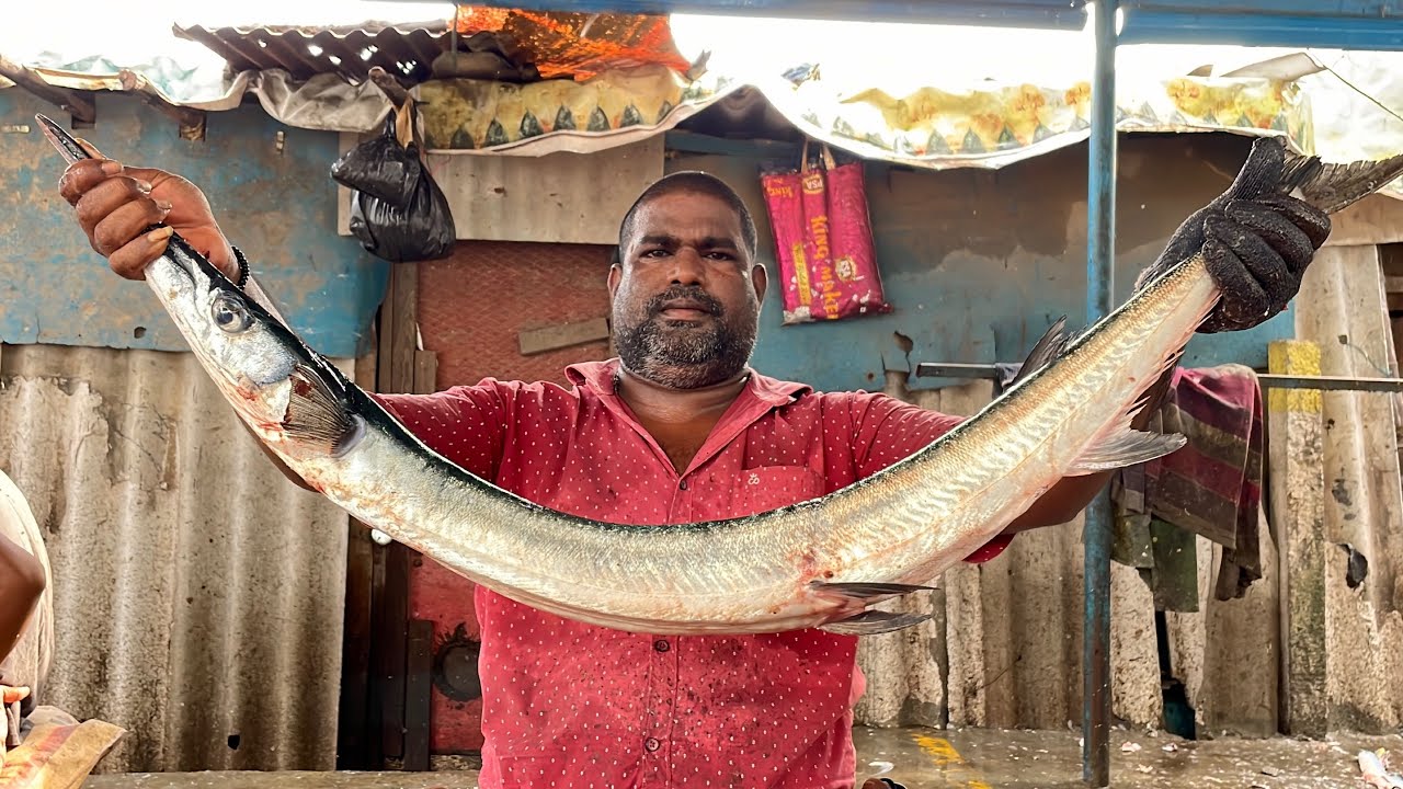 KASIMEDU MINNAL RAJA MORAL FISH CUTTING 💥 IN KASIMEDU FISH CUTTING 💥 ...
