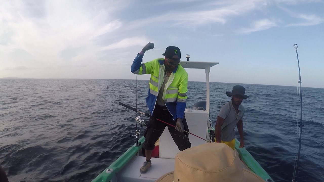Big Spanish mackrel on jig - YouTube