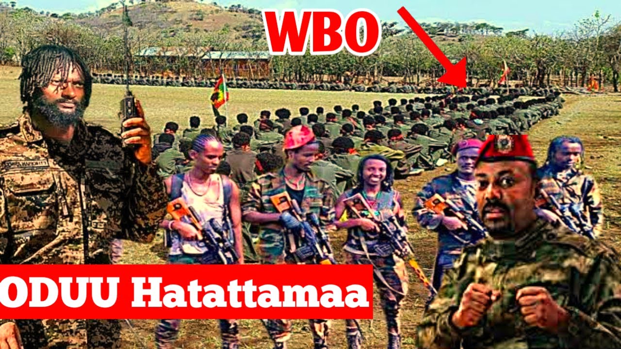 ODUU Hatattamaa haaraa ijoo amma nu geesse kunoo itti dhihaadhaa ...