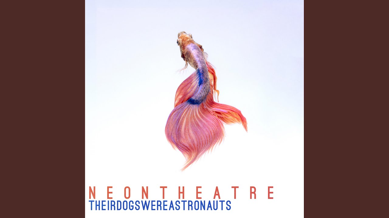 Contortionist - YouTube Music