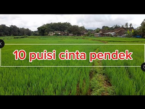10 puisi cinta pendek - YouTube