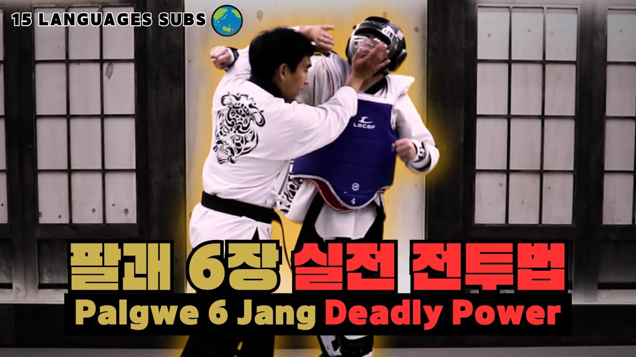 이젠 배울 수 없는 태권도 품새 팔괘 6장 전투력 l Taekwondo Poomsae Palgwe 6 Jang - YouTube