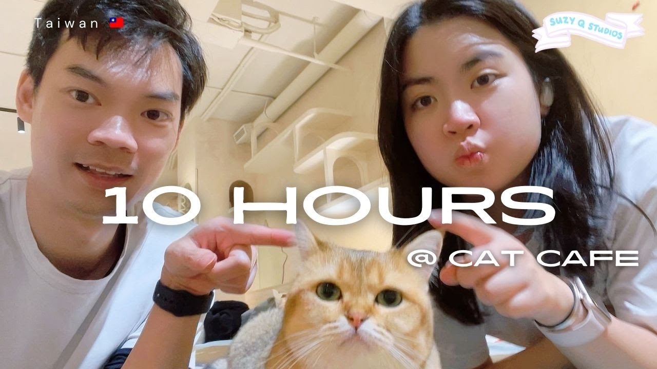 🇹🇼 Taiwan Vlog: 10 HOURS @ a CAT CAFE 🐱| NEKO COFFEE | SUZY Q STUDIOS - YouTube