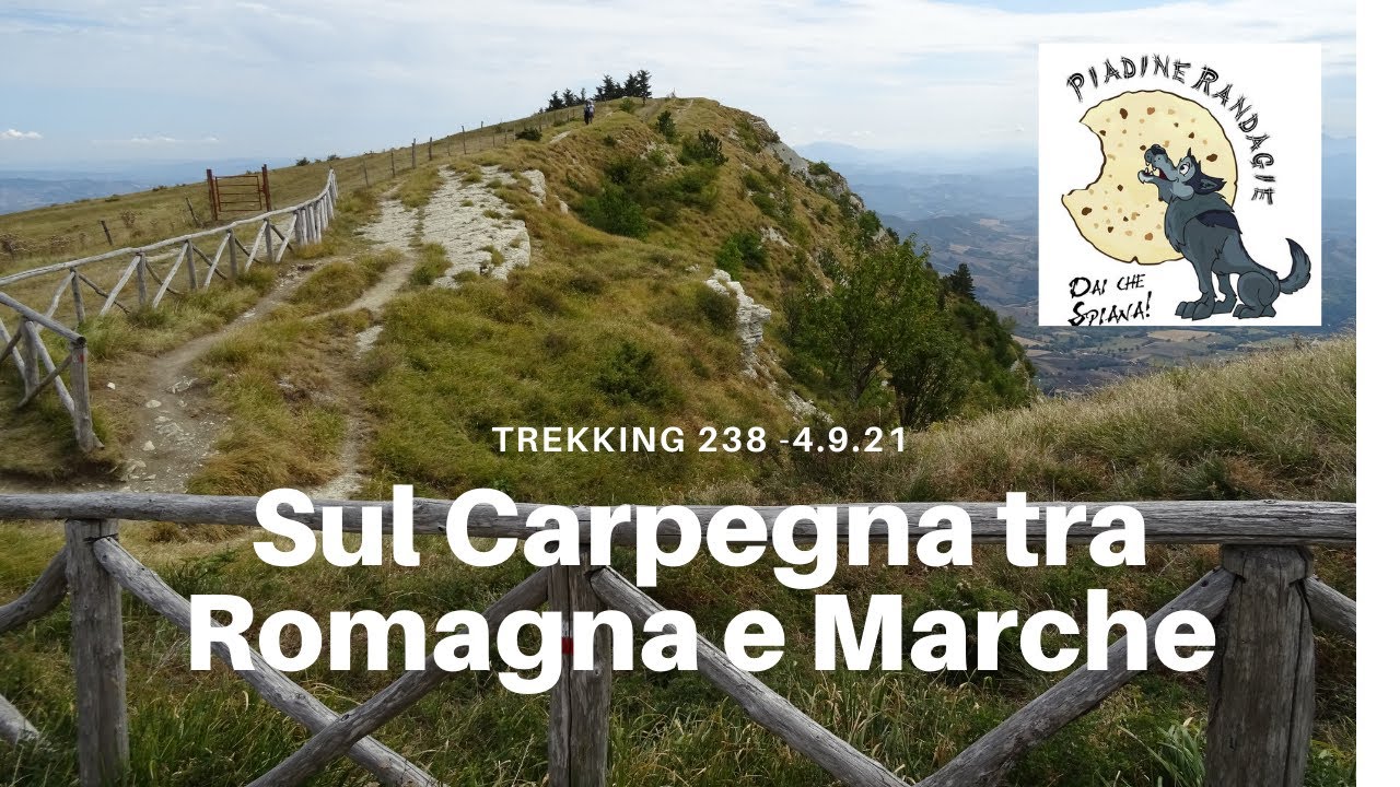 DA SCAVOLINO ALLA CIMA DEL MONTE CARPEGNA - YouTube