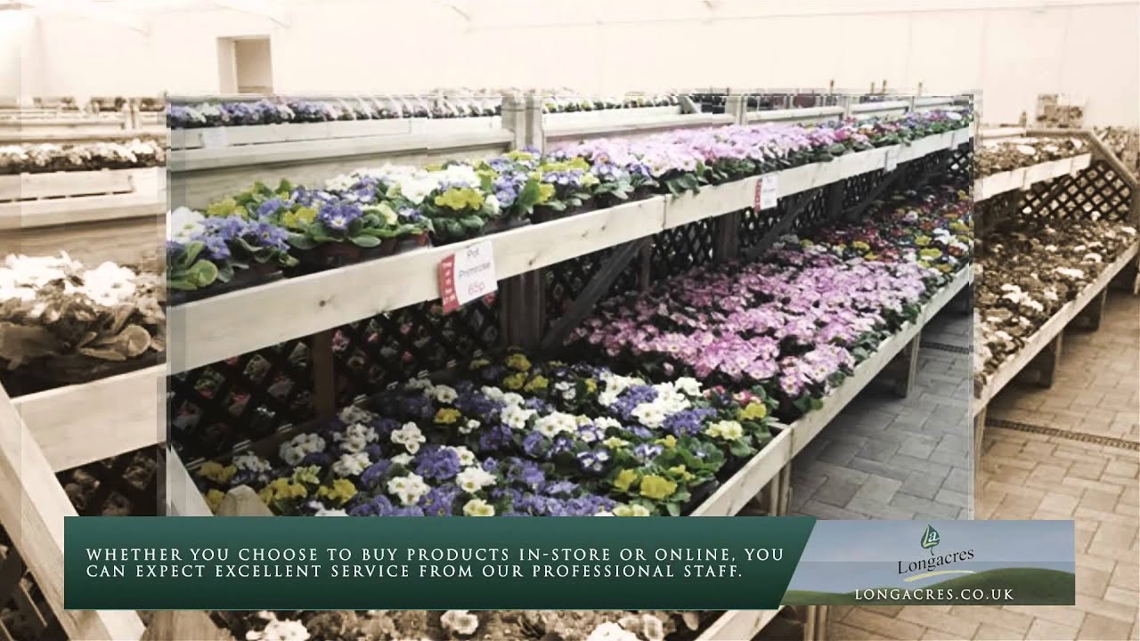 Longacres Garden Centre Opening Hours | Fasci Garden