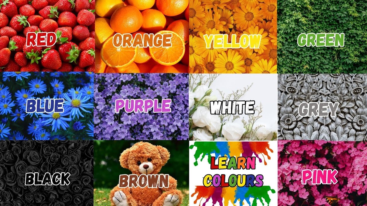 Color Song for Kids | We Love all the Colors|This is Red the Colour Red ...