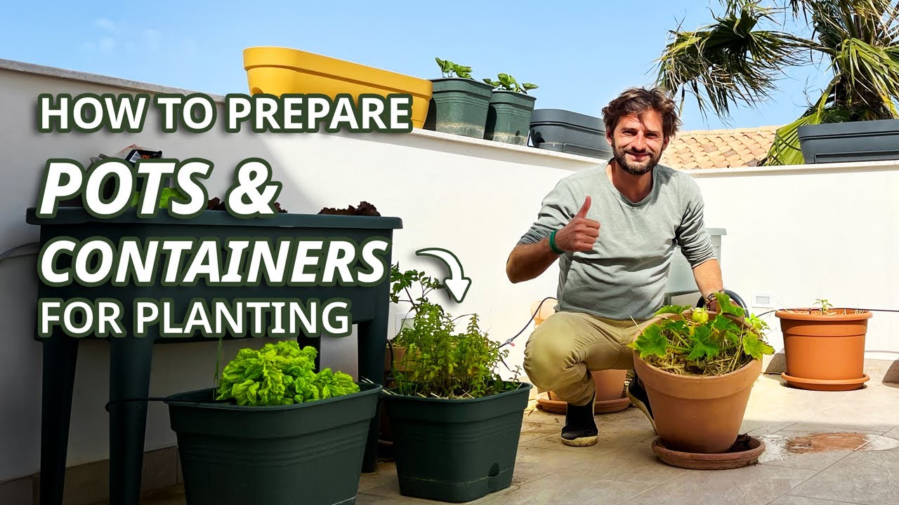 Balcony Vegetable Gardening : How to prepare pots & containers to grow ...