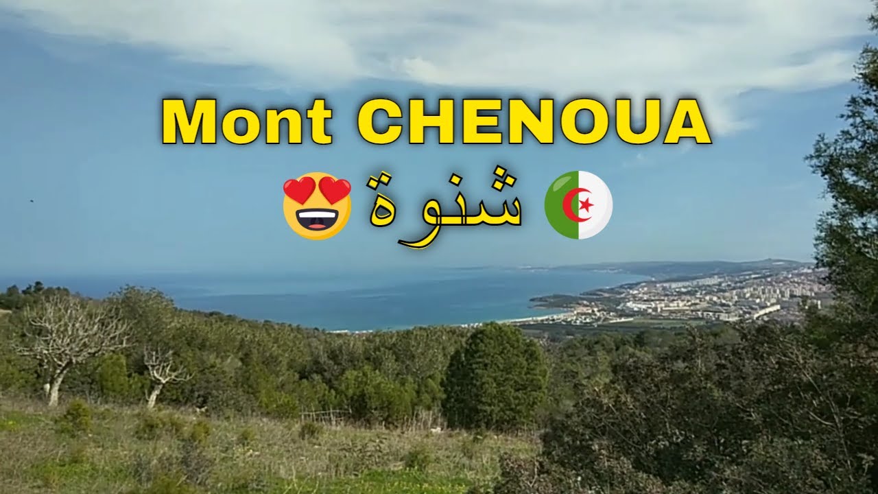 DISCOVER CHENOUA MOUNT TIPASA 🇩🇿 | إكتشفوا جمال جبل شنوة تيبازة - YouTube