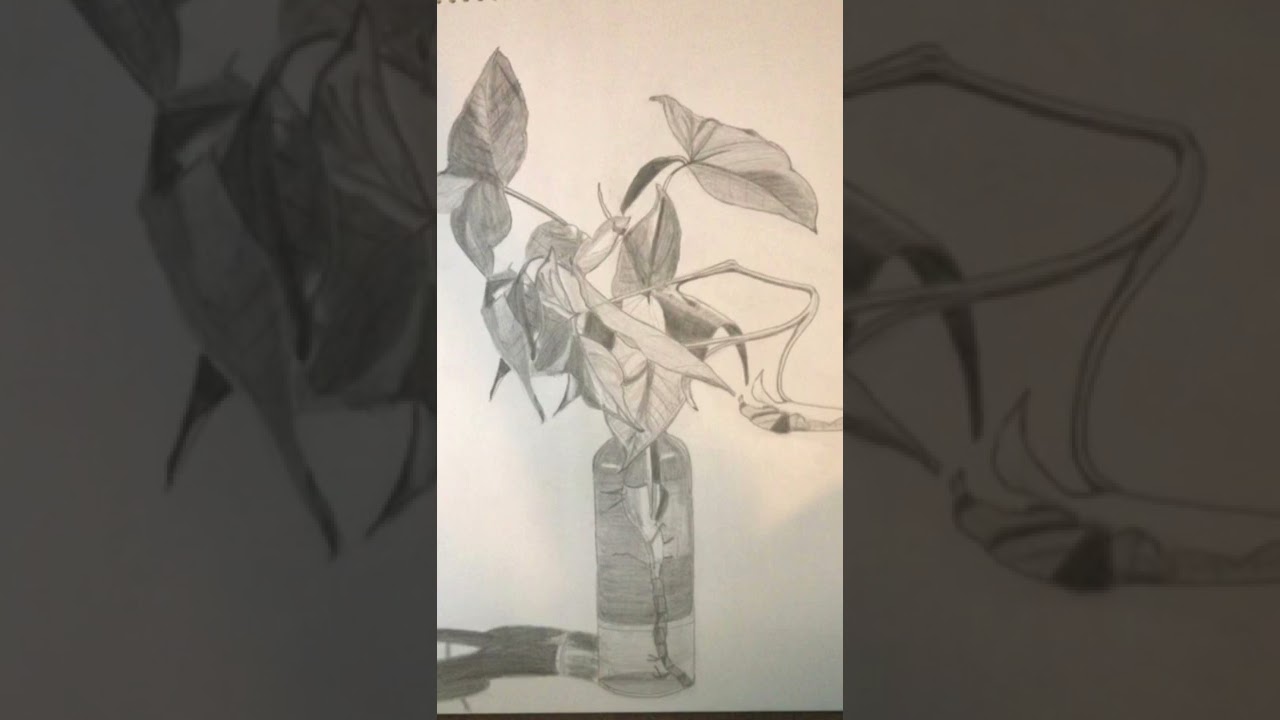 Draw leaves/ drawing and shading - YouTube