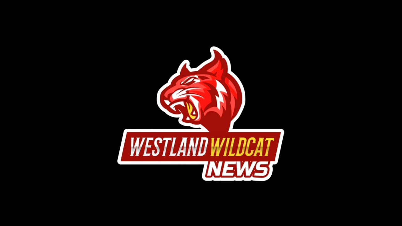 Wildcat News Chanel, 10/21/2022 - YouTube