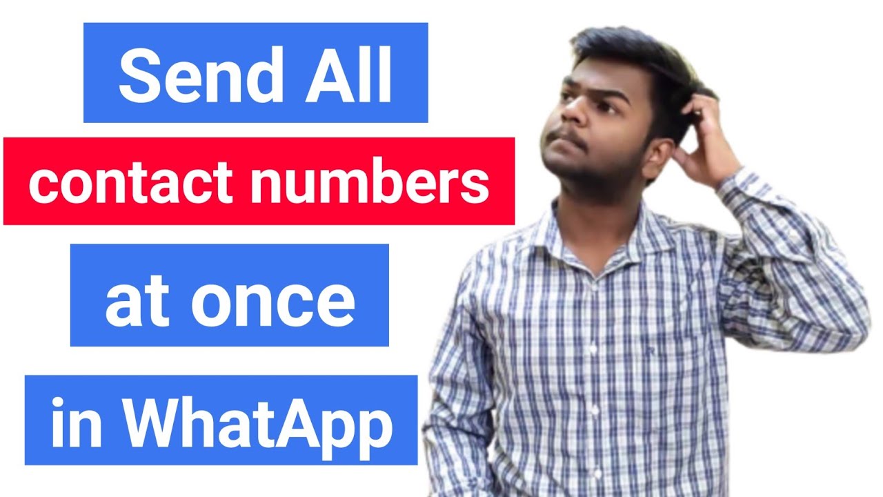 How to send all contact numbers at once in what's app • How to share ...