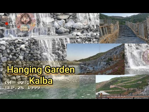 Hanging Garden Kalba and waterfall | new attraction in kalba #sharjah # ...