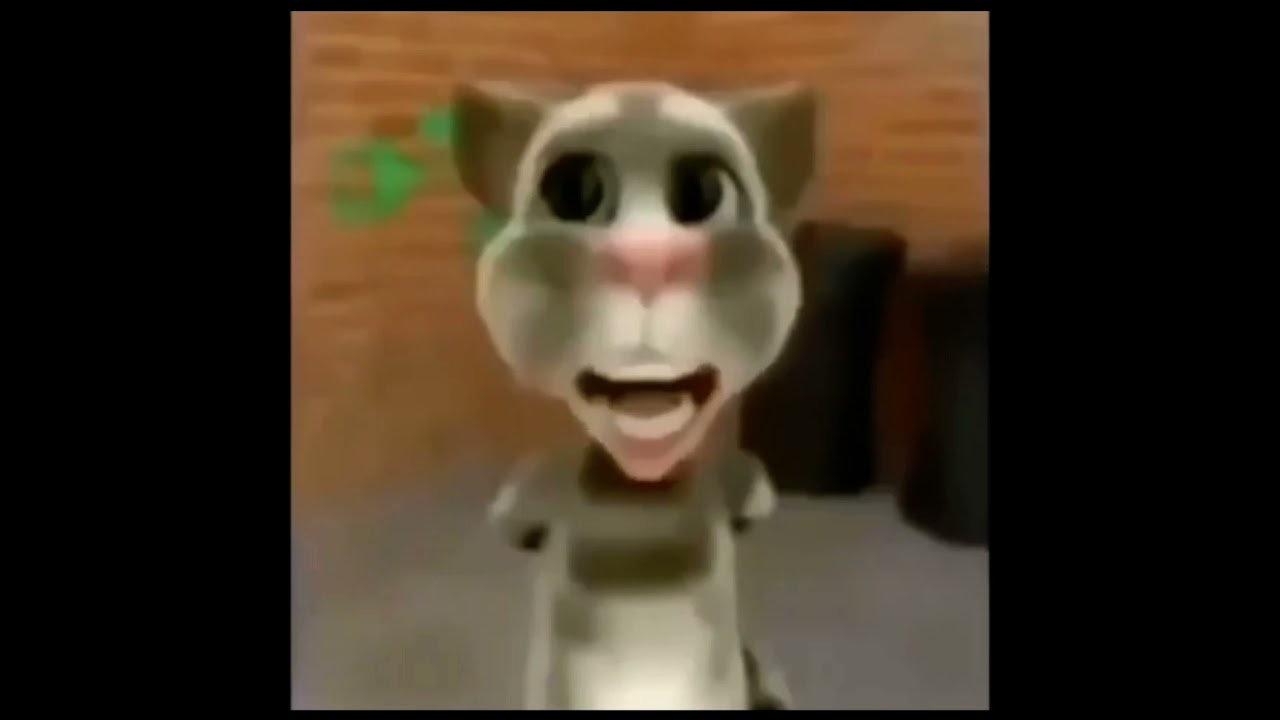 talking tom screaming - YouTube