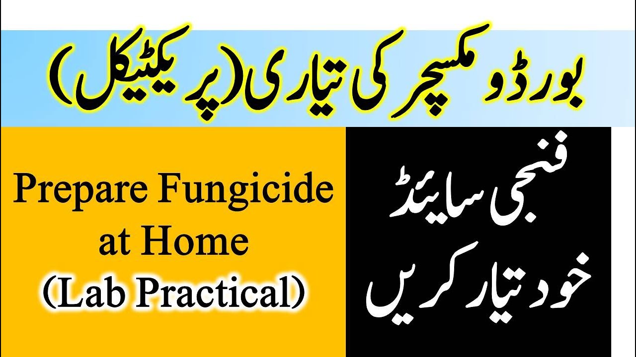 Bordo mixture preparation (Practical)| Bordeaux mixture preparation ...
