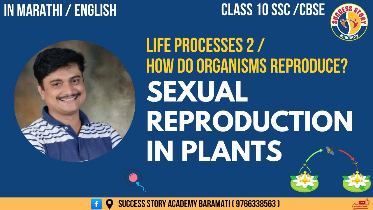 Sexual Reproduction in Plants | life processes 2 / How do organisms ...