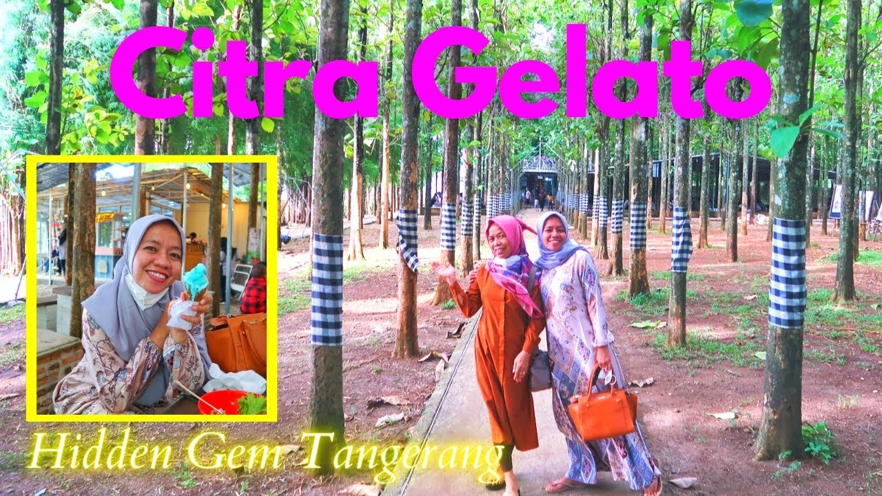 TEMPAT MAKAN DI TENGAH HUTAN JATI | CITRA GELATO, CIKUPA TANGERANG ...
