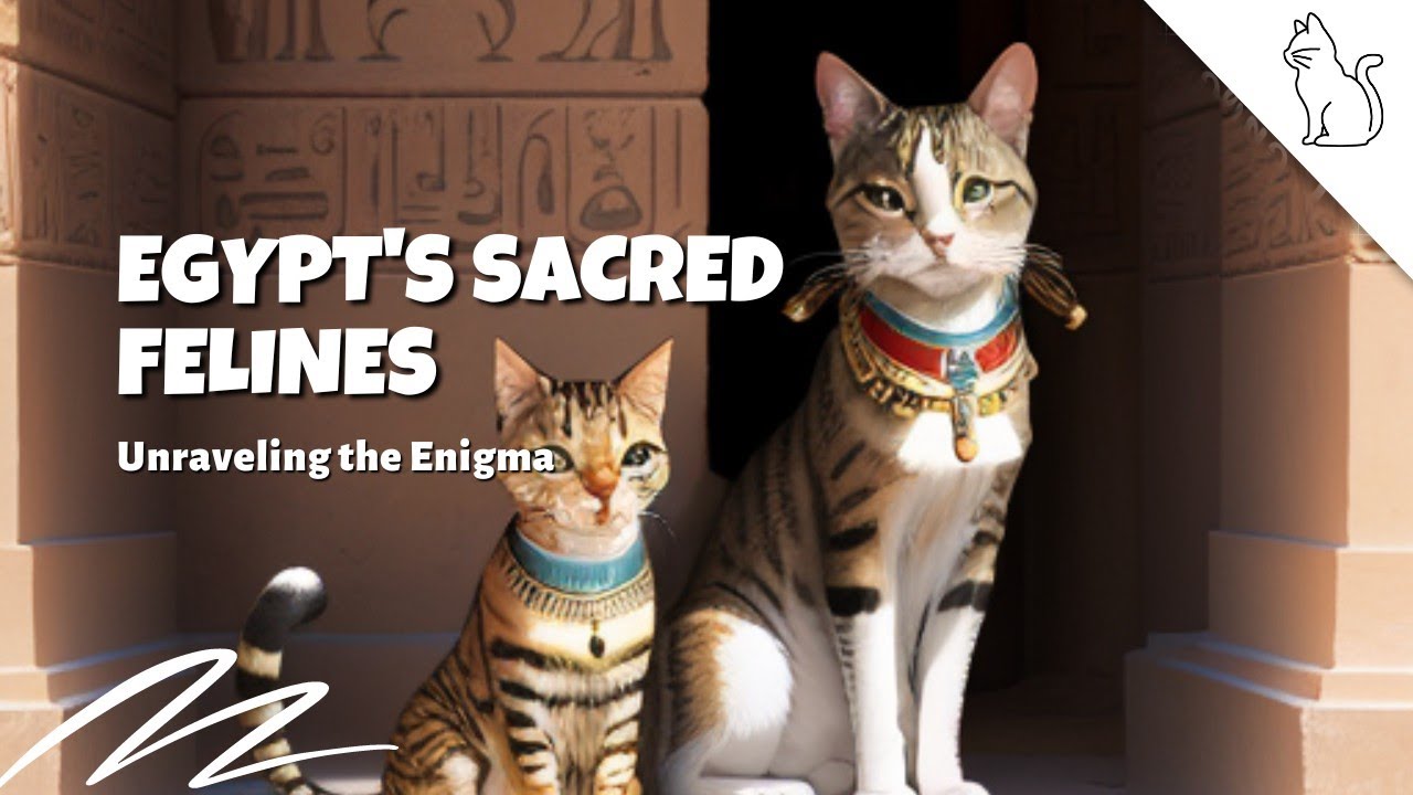 Unraveling the Enigma: Egypt's Sacred Felines - YouTube
