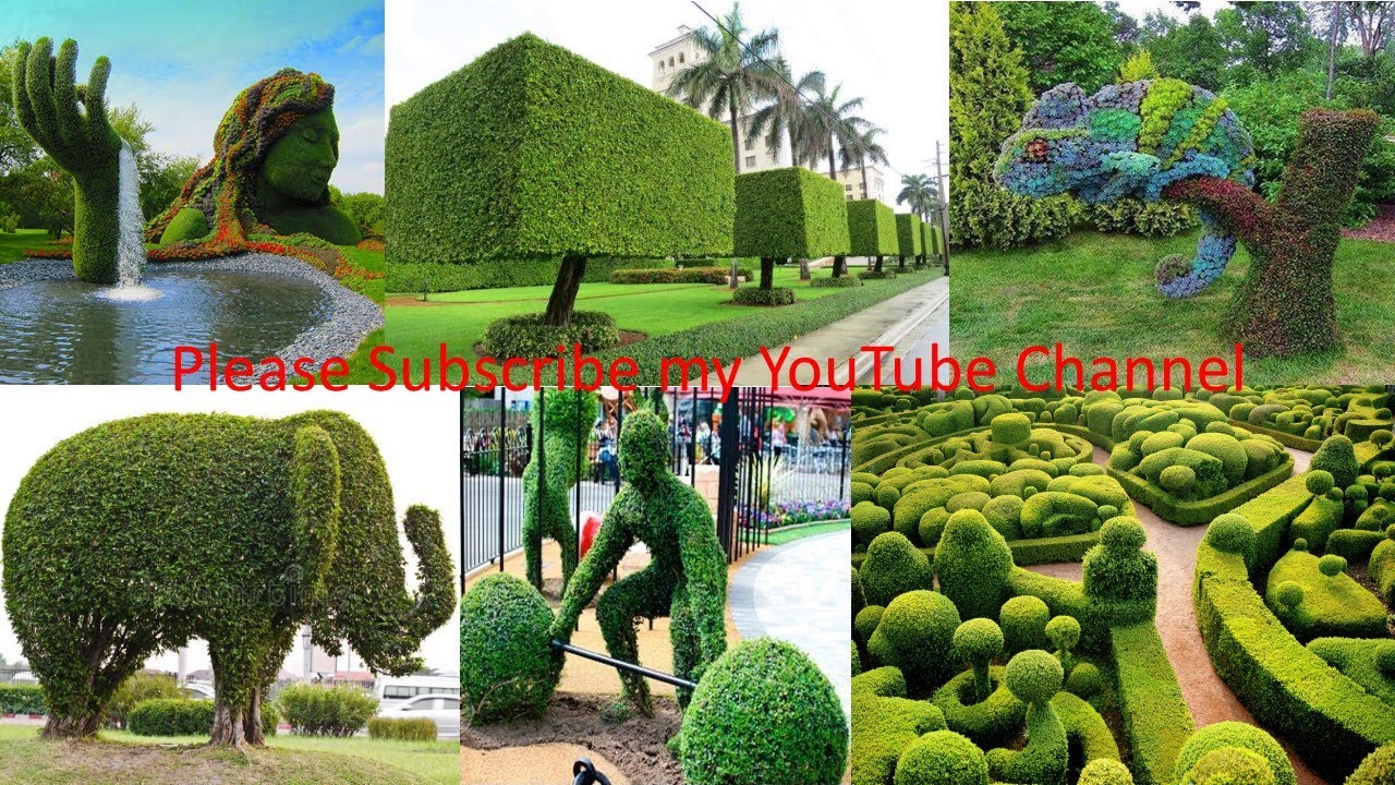 Plant cutting/shaping and designing| Easy way to give beautiful shape ...