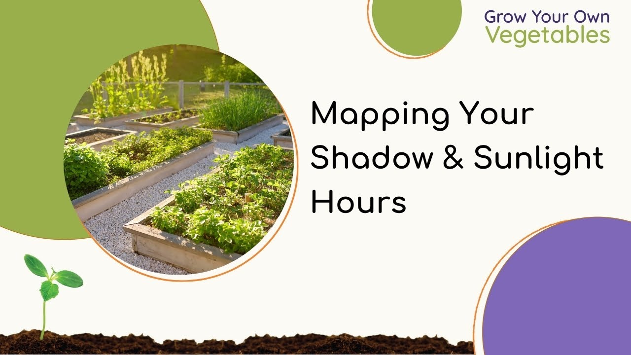 Mapping Your Shadow & Sunlight Hours - YouTube