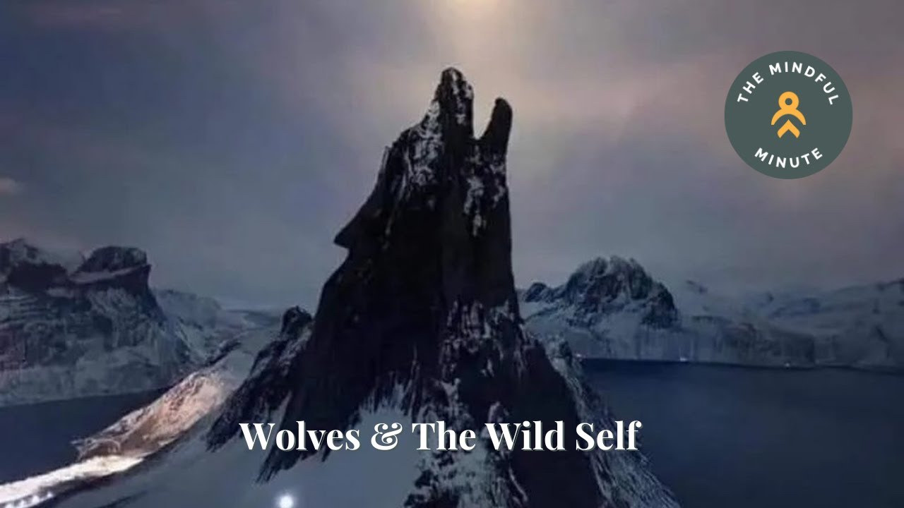 Wolves & The Wild Self - YouTube